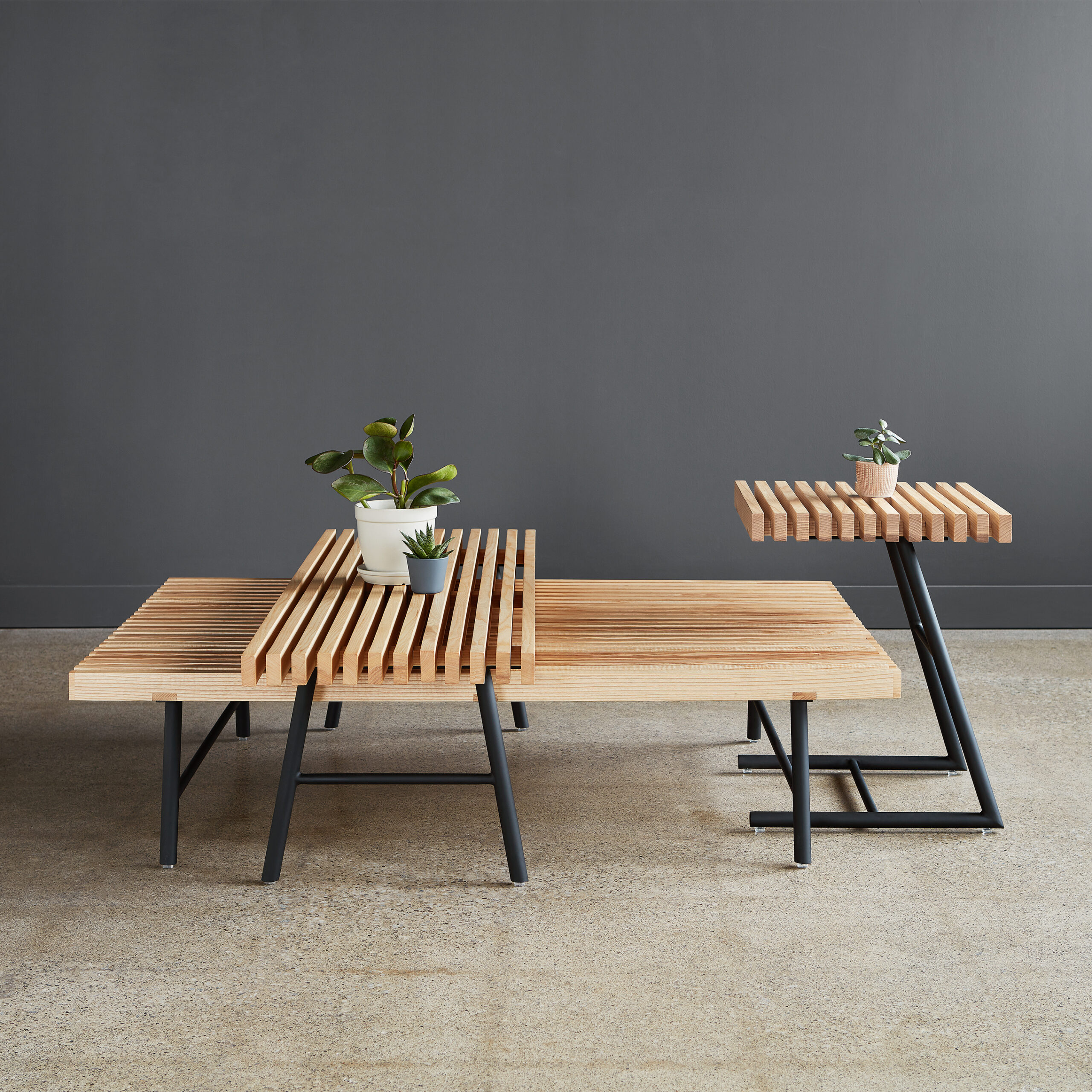 Gus Transit Coffee Table - The Century House - Madison, WI